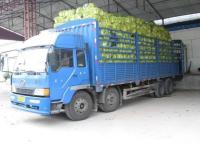 China Customized 3 Axle 60 80 Ton Fruit and Vegetable Transportation Fence Stake Semi Trailer for sale