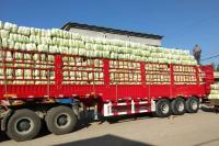 China Customized 3 Axle 60 80 Ton Fruit and Vegetable Transportation Fence Stake Semi Trailer for sale