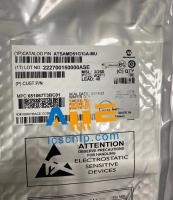China ATSAML10D16A-MU Microchip MCU ARM Cortex-M23 32-bit 64KB Flash 24MHz 20-QFN for sale