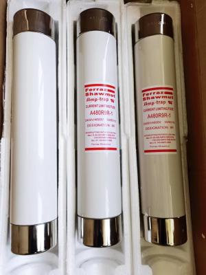 China A480R Series 4.8kV R-Rated Medium Voltage Motor Protection Fuse 2-36A for sale