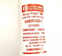 China A480R18R-1 4800V 9F60 R-Rated Medium Voltage Fuse 390A Motor Protection for sale