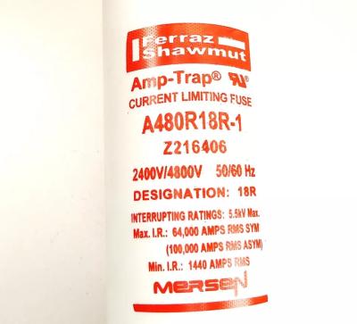 China A480R18R-1 4800V 9F60 R-Rated Medium Voltage Fuse 390A Motor Protection for sale