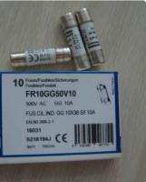 China FR10GG50V1 Cylindrical Fuse Link gG 10x38 500VAC 1A 0.5A to 32A for sale