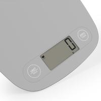 China Digital LCD Cooking Bakery Baking Kitchen Scale 5kg/1g Mini Balance simple scale for sale