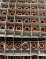 China 120UH 6.8A 61MOHM Electrical Inductor Ral Horizontal Fixed Toroid Inductor for sale