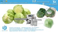 China How to pack a product in 12cm height Bestar horizontal packing machine 700X for sale