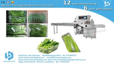 China Bestar horizontal packing machine for vegetables for sale