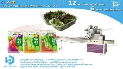China Vegetable tray wrapping machine, vegetable workshop actual case for sale