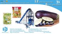 China Fresh salad sliced carrot pouch packaging machine with labeling for sale