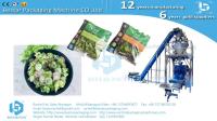 China Leafy greens salad 100g pouch automatic weighing and packing machine for sale