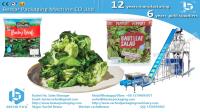 China Leafy greens salad 100g pouch automatic weighing and packing machine for sale