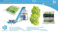 China Leafy greens salad 100g pouch automatic weighing and packing machine for sale