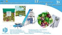 China Leafy greens salad 100g pouch automatic weighing and packing machine for sale