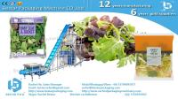 China Leafy greens salad 100g pouch automatic weighing and packing machine for sale