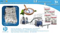 China Bestar packaging machine for soybean multi packs in bag BSTV-550AZ for sale