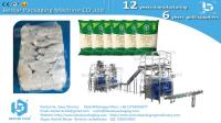 China Secondary big pouch stacking packing machine for multiple small sachets stacking inside for sale