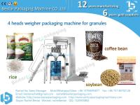 China Aquarium salt ball for oranmetal fish pouch weighing packaging machine BSTV-450AZ for sale
