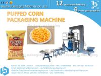 China How Cheetos are packed in pouch [Bestar] automatic pouch packing machine BSTV-450AZ for sale