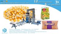China Popcorn kernels automatic packing machine with weighing, printing and labeling BSTV-550AZ for sale