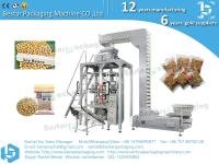 China Bestar packaging machine for soybean multi packs in bag BSTV-550AZ for sale