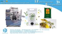 China How to pack liquid detergent in spout stand up pouch for sale