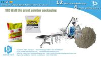 China 1KG Wall tile grout powder packing machine BSTV-450DZ for sale