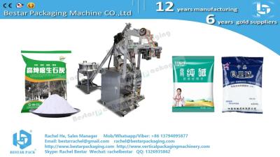 China How to pack lime powder sachet 200g [BESTAR] small powder weighing and packing machine BSTV-160F for sale