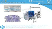 China Bestar automatic liquid water packing machine BSTV-160S for sale