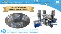 China Furniture accessories, screw, dowel, eccentric gear, counting packing machine for sale