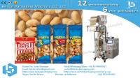 China Cashew nuts 100-200g sachet pouch automatic weighing and packing machine BSTV-160A for sale