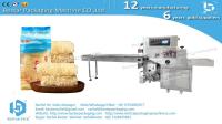 China Ramen instant noodle single packaging automatic packing machine BST350 for sale