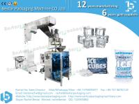 China how to pack ice cube in bag BSTV-450BZ for sale