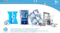 China how to pack ice cube in bag BSTV-450BZ for sale