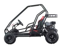 China 200cc Gasoline Gokart Buggy Ground Clearance 100mm And Maximum Speed ≤ 25km/H for sale