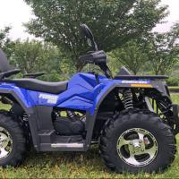 China 1000W Single-cylinder Water-cooled Engine Two-drive Chain Drive Hisun 250cc ATV with 1 for sale