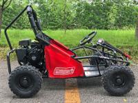 China Outdoor Park Tournament Bore*Stroke 56*40mm T.C.I Engine Pedal Gokart with Small Size for sale