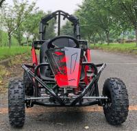 China Outdoor Park Tournament Bore*Stroke 56*40mm T.C.I Engine Pedal Gokart with Small Size for sale