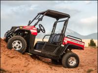 China Max Power 12kW and Fuel Tank Capacity 10-20L Directly Sells 250cc Farm Buggy Jeep UTV for sale