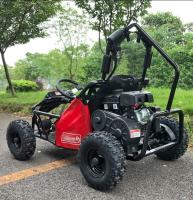 China Outdoor Park Tournament Bore*Stroke 56*40mm T.C.I Engine Pedal Gokart with Small Size for sale
