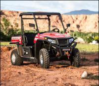 China Max Power 12kW and Fuel Tank Capacity 10-20L Directly Sells 250cc Farm Buggy Jeep UTV for sale