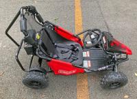 China Outdoor Park Tournament Bore*Stroke 56*40mm T.C.I Engine Pedal Gokart with Small Size for sale