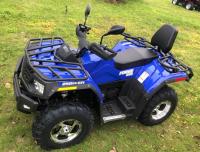 China Quad Bikes 250cc ATV With Two-Drive Chain Drive And Maximum Speed ≥100Km/H for sale