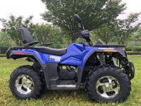 China Quad Bikes 250cc ATV With Two-Drive Chain Drive And Maximum Speed ≥100Km/H for sale