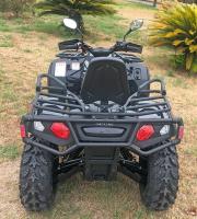 China Max Torque 750cc Gas Engine 4 Wheel ATV in Motor 750cc 4x4 ATV Can-Am for sale