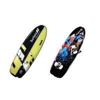 China Max Speed 60km/h BluePenguin Carbon Fiber Surfboard for Unisex Water Sports Equipment for sale