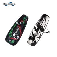 China BluePenguin All-carbon Fiber Boards power Motors and Controllers for Ultimate Surfing for sale
