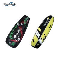 China BluePenguin All-carbon Fiber Boards power Motors and Controllers for Ultimate Surfing for sale