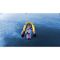 China 110cc Carbon Fiber BluePenguin Surfboard for Lakes Rivers The Perfect Summer Companion for sale