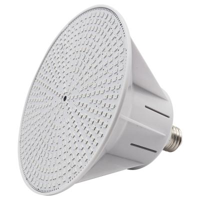 China REFINED Swimming Pool Light Accessories Replacement Bulb AC 12V 120V for sale