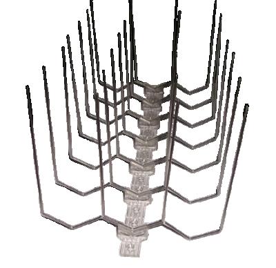 China Custom Stainless Steel Bird Spikes for Bird control for sale